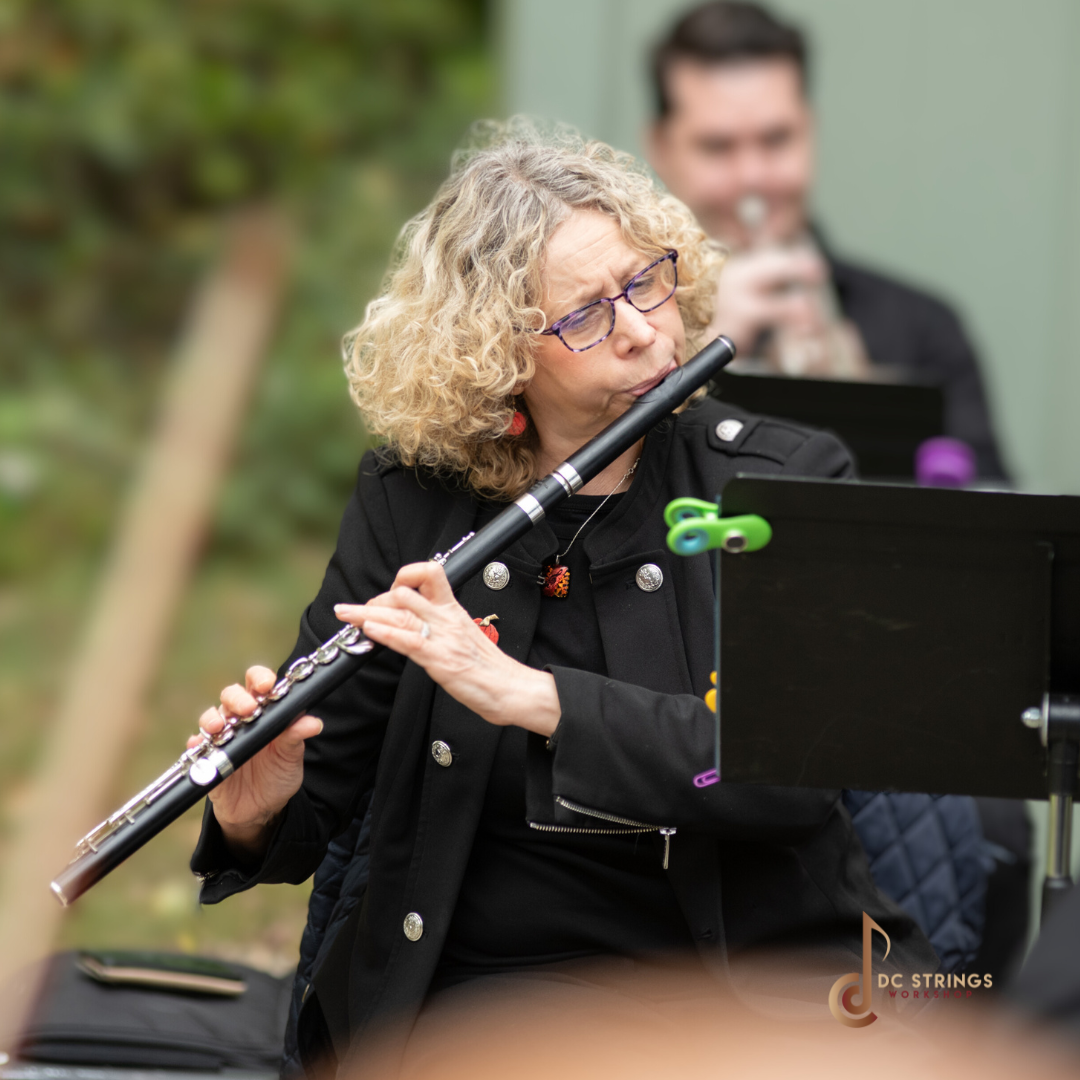 Noreen Friedman - DC Strings Workshop